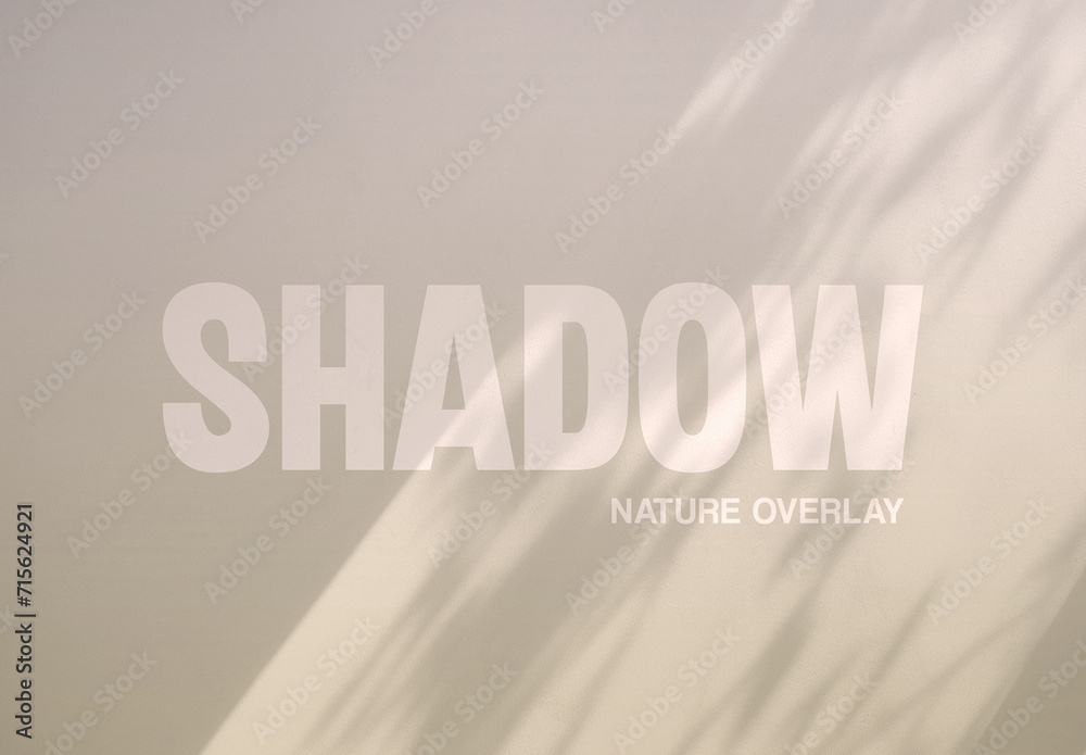 Nature Leaves Shadow Overlay Texture Stock Template | Adobe Stock