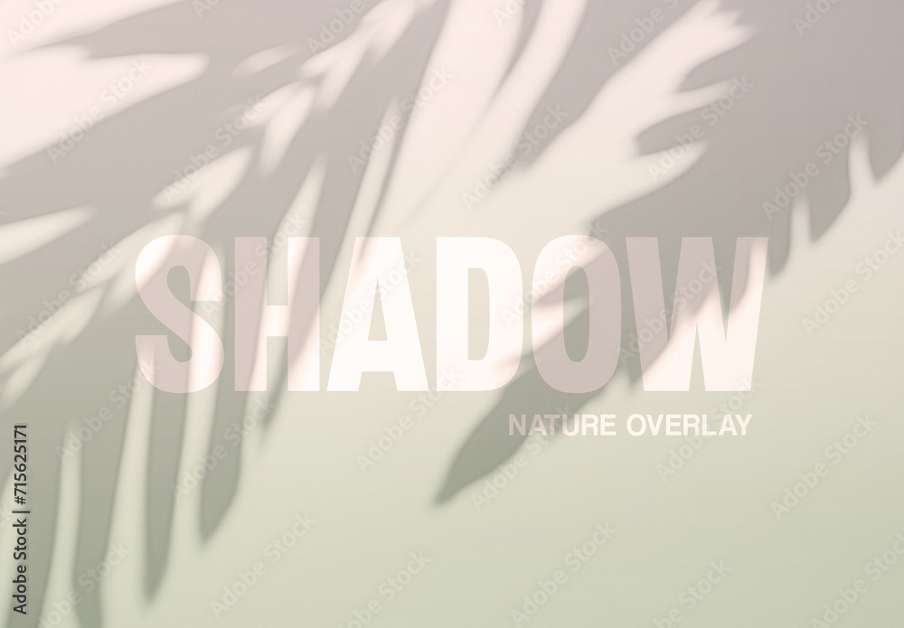 Palm Leaves Shadow Overlay Texture Stock Template | Adobe Stock