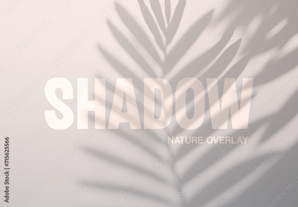 Realistic Palm Leaf Shadow Overlay Texture Stock Template | Adobe Stock