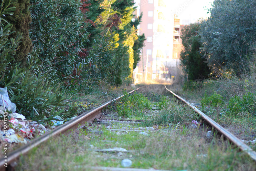 Embark on a visual journey with this striking perspective of train ...