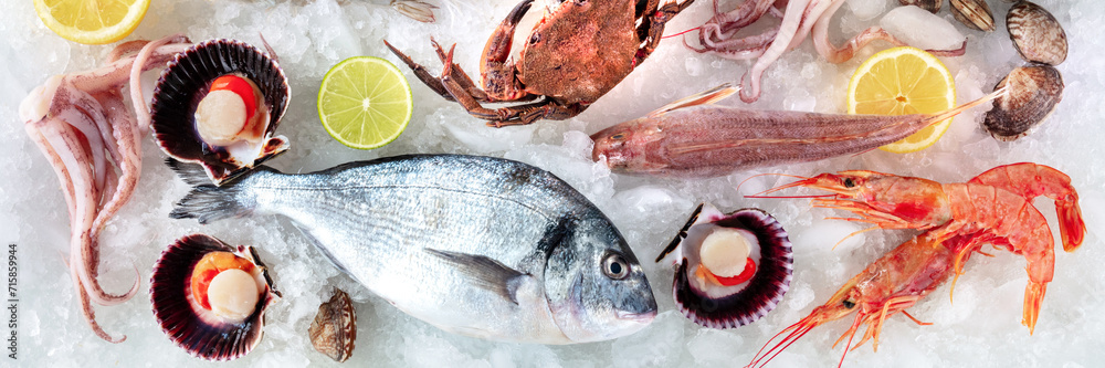 Seafood panorama. Fresh fish and sea food on ice, overhead flat lay ...