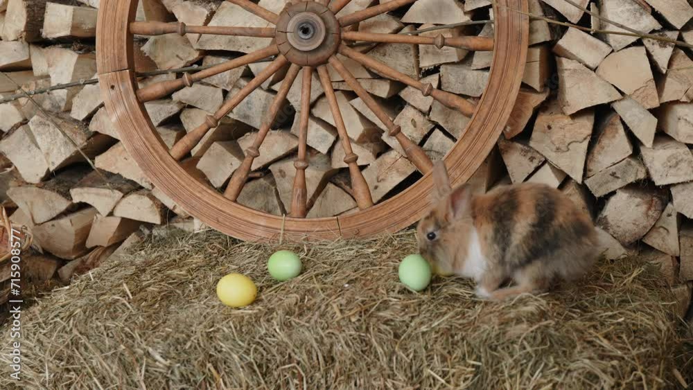 Vidéo Stock Decorative fluffy bunny jumps onto haystack with Easter ...
