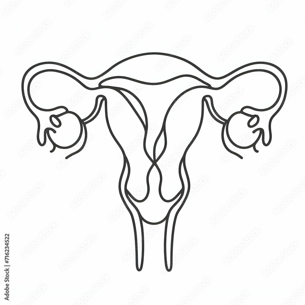 One continuous line drawing of woman uterus. Ovary and womb ...