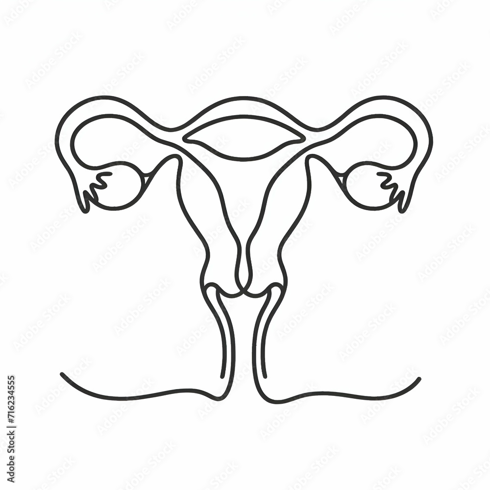 One continuous line drawing of woman uterus. Ovary and womb ...