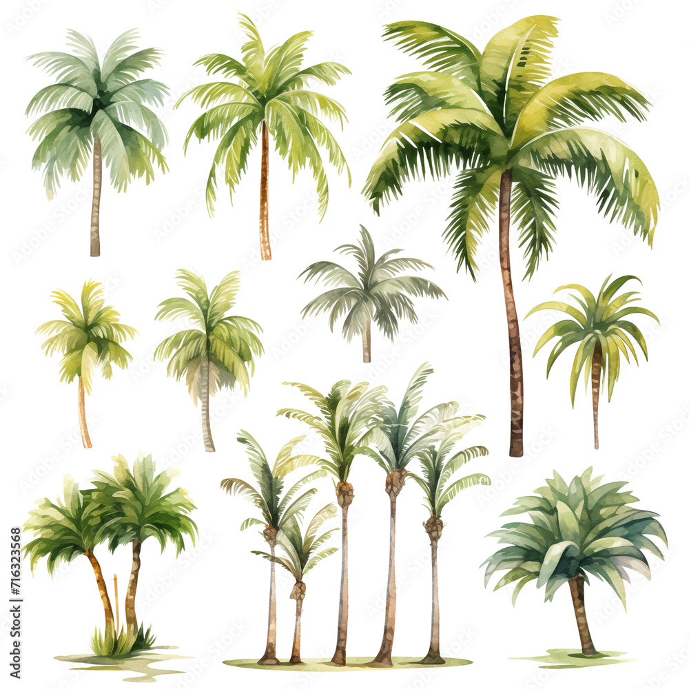 Clipart Bundle Watercolor Coconut tree, on Transparent Background Stock ...