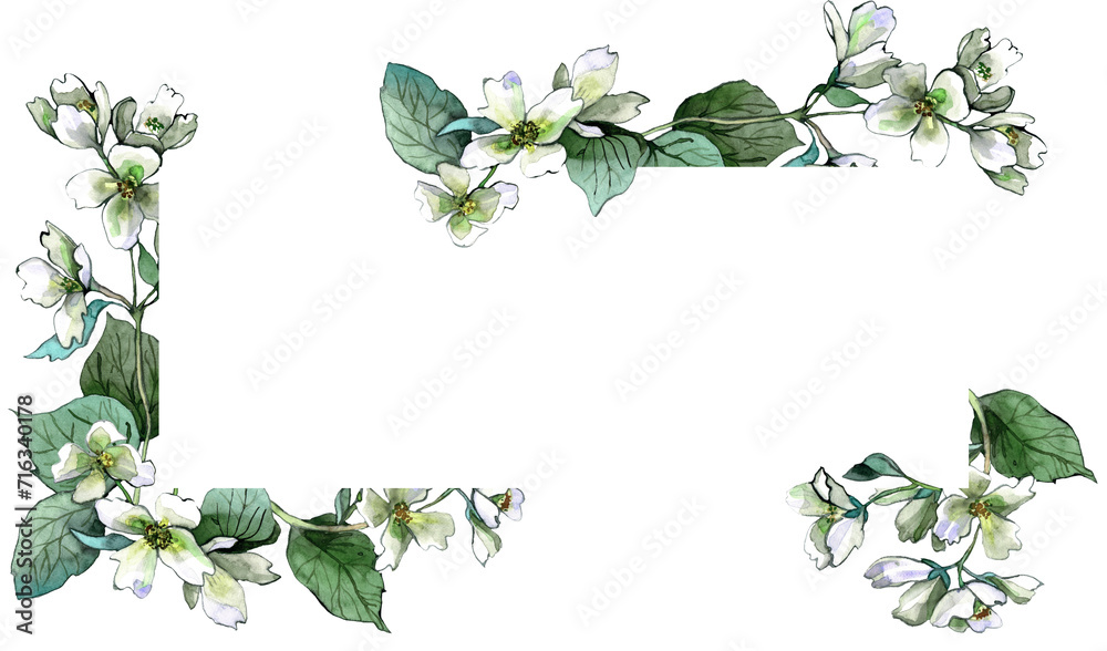 Watercolor hand painted jasmine frame. PNG transparent background Stock ...