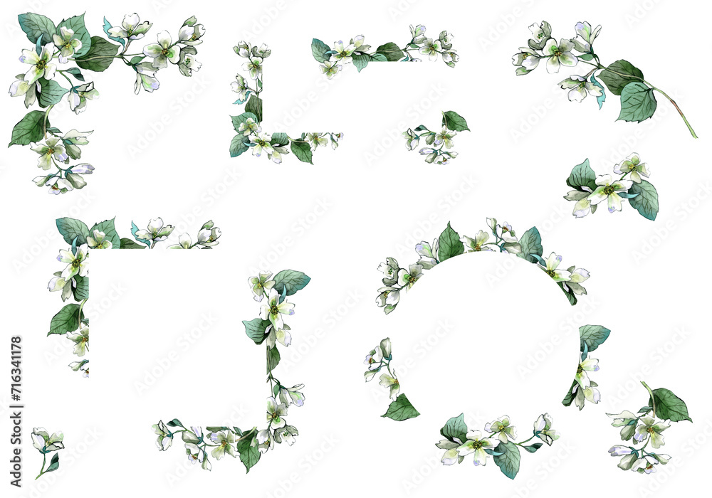 Watercolor hand painted jasmine frame. PNG transparent background Stock ...