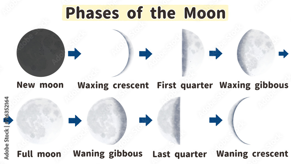 Phases of the moon Labeled diagram Transparent PNG Stock Illustration ...
