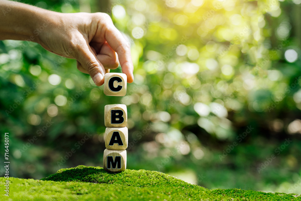 The first carbon-tariff system, the EU Carbon Border Adjustment ...