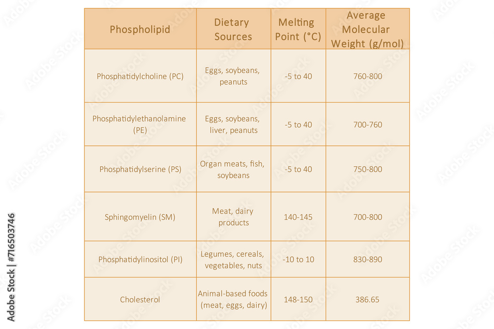 Vecteur Stock Table showing Phospholipids types, dietary sources ...
