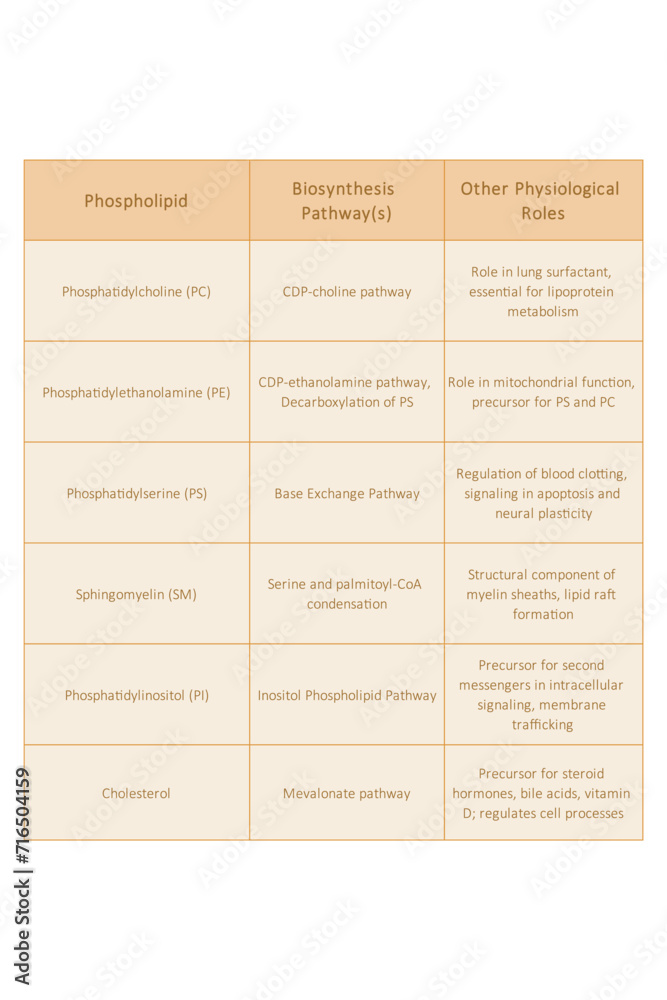 Table showing Phospholipids types, biosynthesis pathways and biological ...