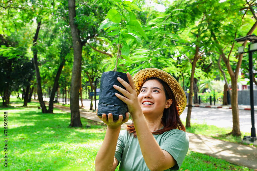 Happy young asian female volunteer holding small saplings preparing ...