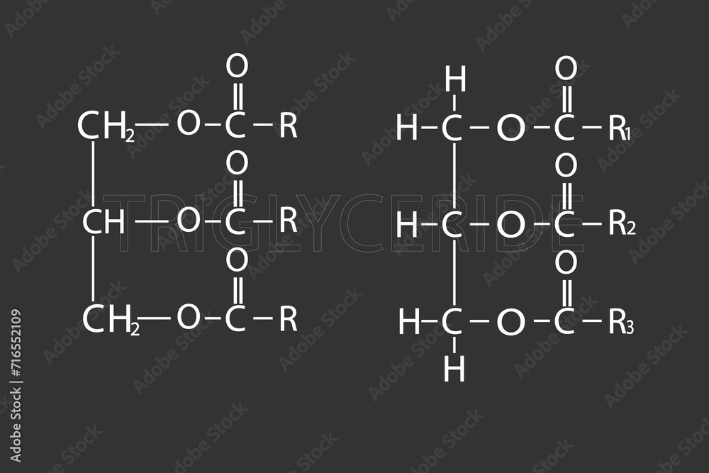 Triglyceride molecular skeletal chemical formula Stock Vector | Adobe Stock