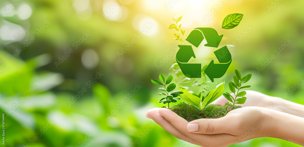 Environment Earth Day In the hands holding green plants with recycle ...