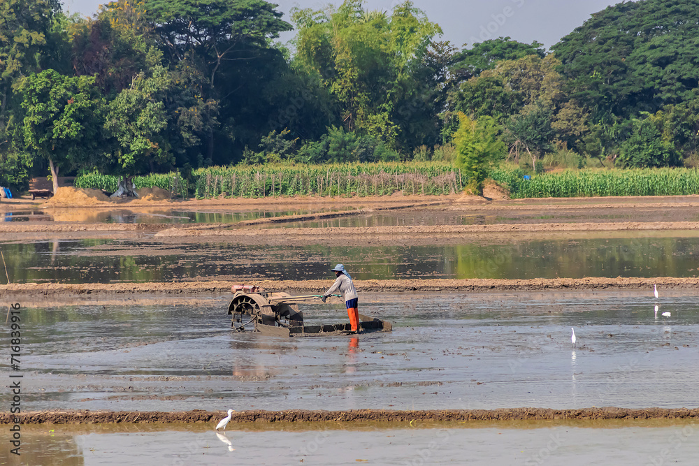 Thai farmer control the walking-tractor with start to soil plow and ...