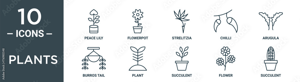 plants outline icon set includes thin line peace lily, flowerpot ...