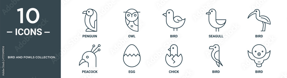 bird and fowls collection. outline icon set includes thin line penguin ...