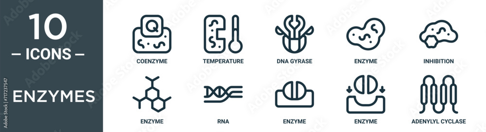 enzymes outline icon set includes thin line coenzyme, temperature, dna gyrase, enzyme ...