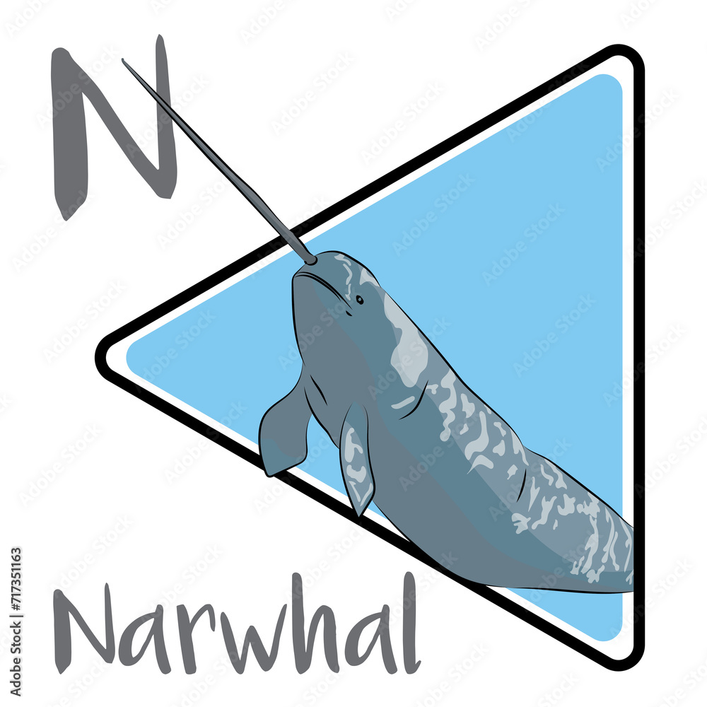 The narwhal is a species of toothed whale. Narwhals are animals of ...