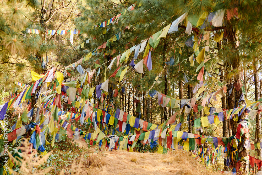 Colorful Tibetan prayer flags flutter in wind in green Kathmandu forest ...