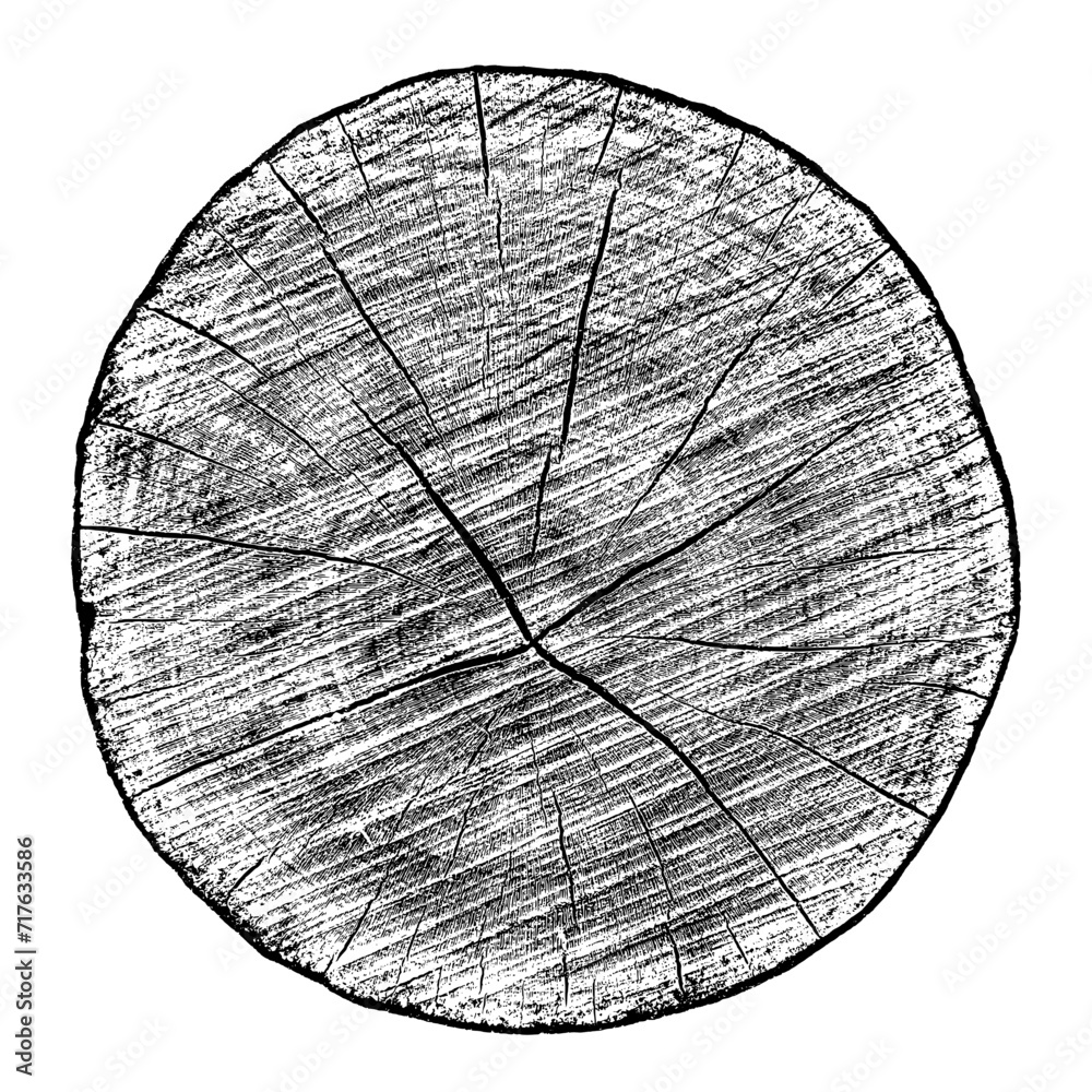 Wood texture cross section of tree rings. Cut slice of wooden stump ...