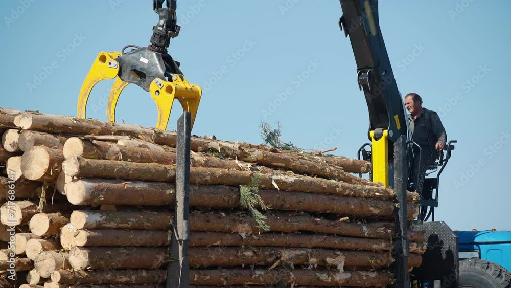 Operating the industrial crane equipment to move the cut logs from the ...