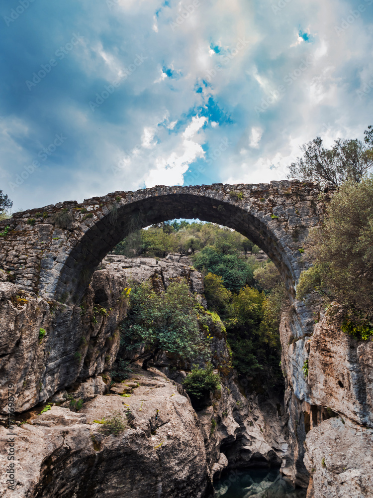 Ancient arch bridge over a river in a canyon in Koprulu National Park ...