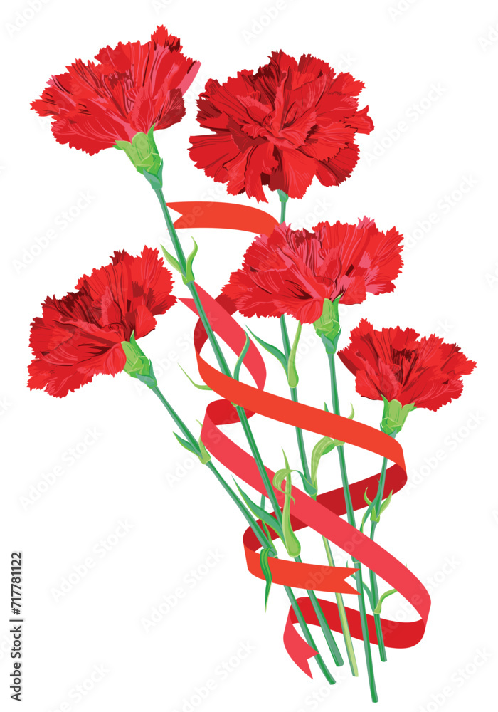 Bouquet of red carnations with festive ribbons on a white background ...