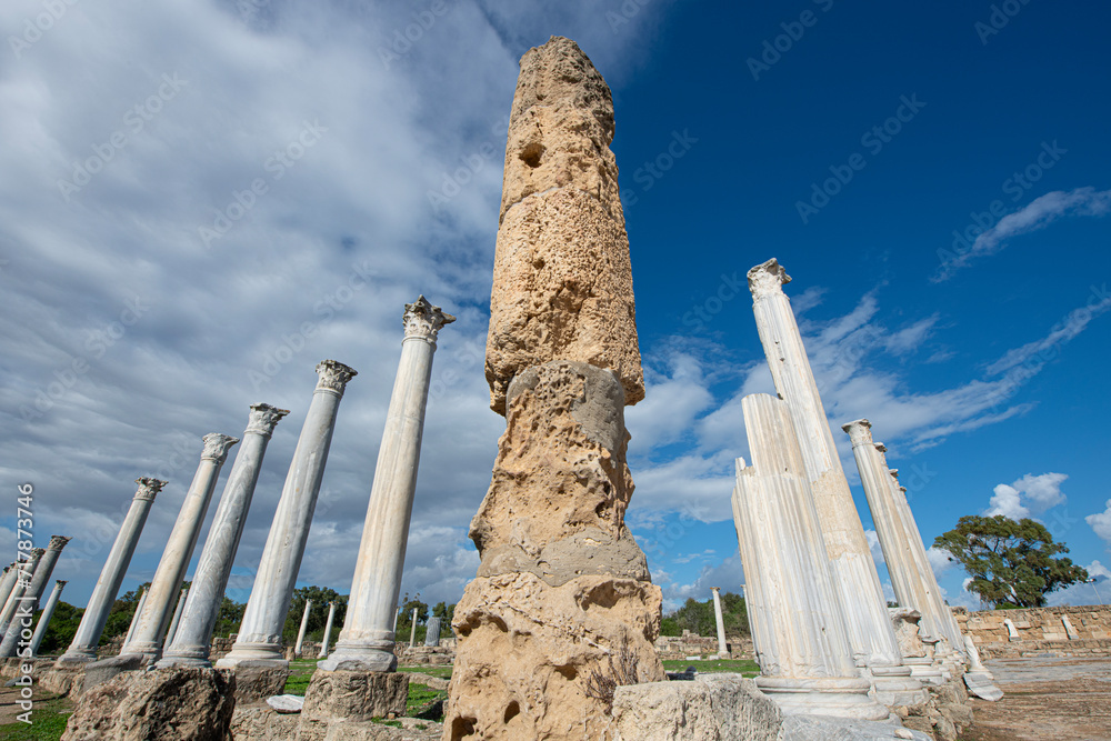 Columns and ruins in the ancient city of Salamis in Cyprus. Salamis ...