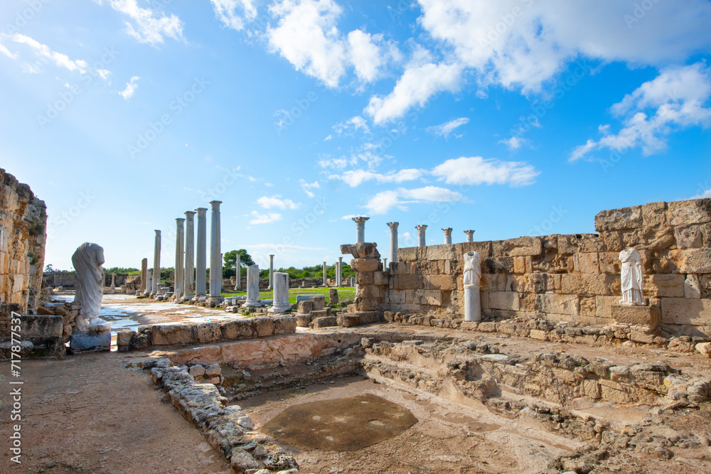 Columns and ruins in the ancient city of Salamis in Cyprus. Salamis ...