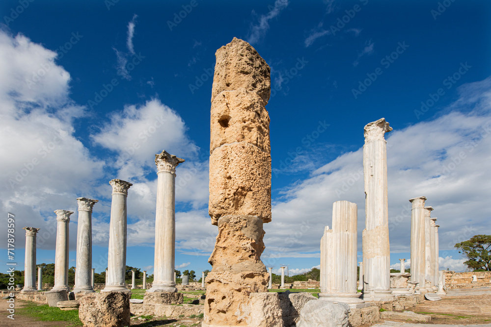 Columns and ruins in the ancient city of Salamis in Cyprus. Salamis ...