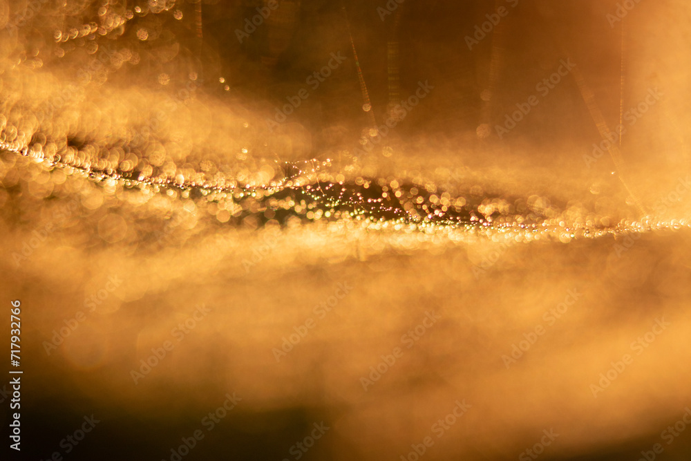Photographs of dew drops using a macro lens show the mist's water ...