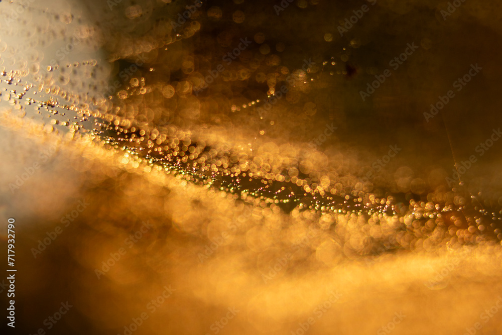 Photographs of dew drops using a macro lens show the mist's water ...