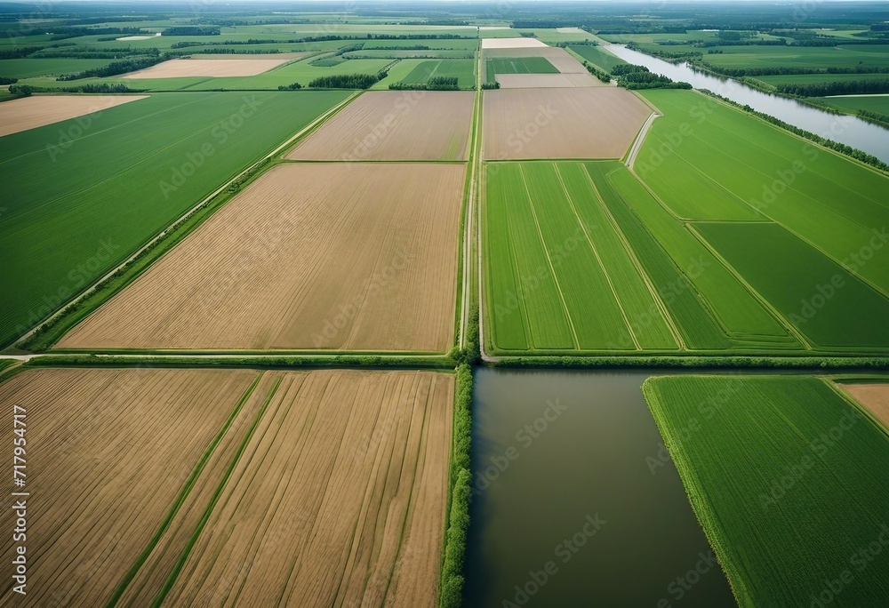 Aerial view of cultivated agricultural farming land with vivid green ...