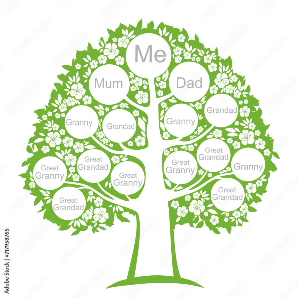 Family genealogic tree isolated on white background. Parents and ...