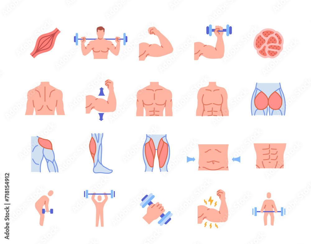 Set of muscles color icons. Bright sign with athletes at workout ...