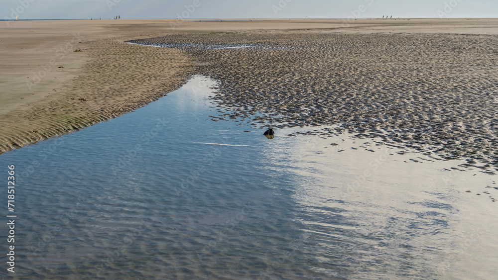 The seabed was exposed at low tide. Puddles and rivulets formed on the ...