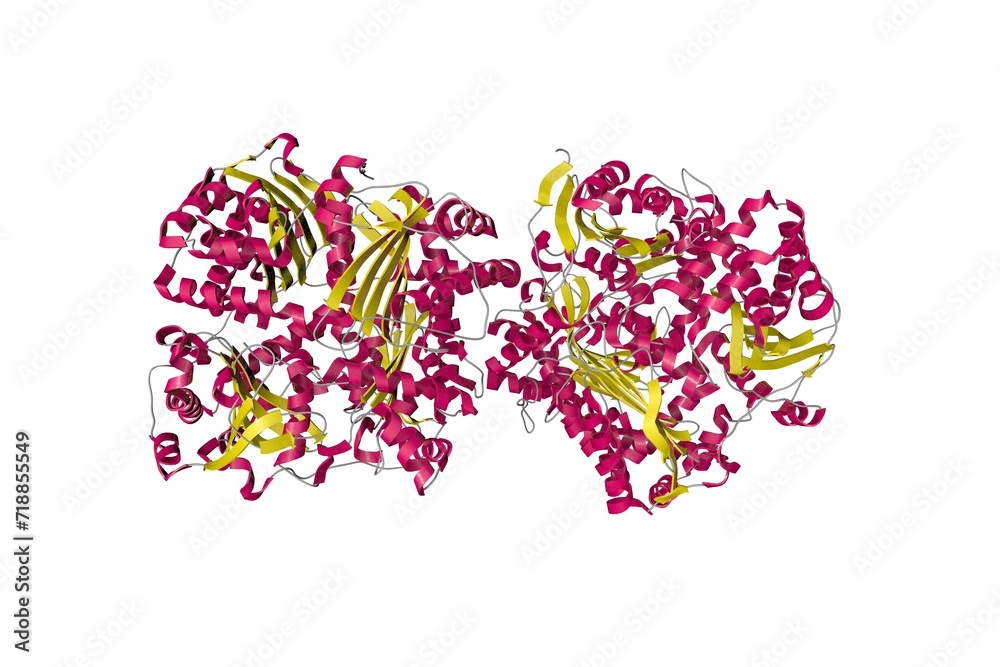 Crystal structure of human insulin-degrading enzyme in complex with ...