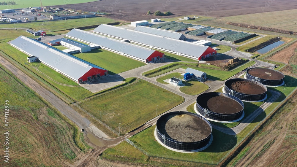 Aerial view of a huge cattle farm located in the countryside amidst ...