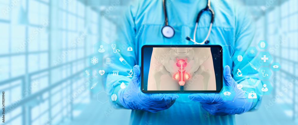 The Doctor Shows An Image Of The Male Pelvic Area Male Reproductive System Concept Of Erectile