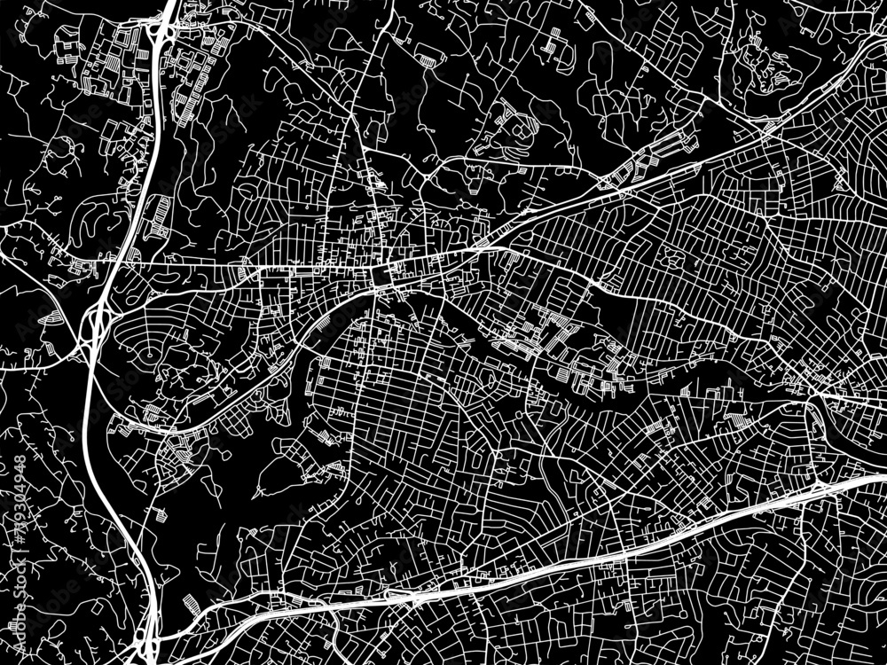 Vector road map of the city of Waltham Massachusetts in the United ...