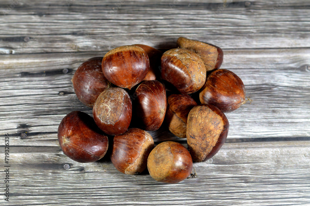 pile of chestnuts, the deciduous trees and shrubs in the genus Castanea ...