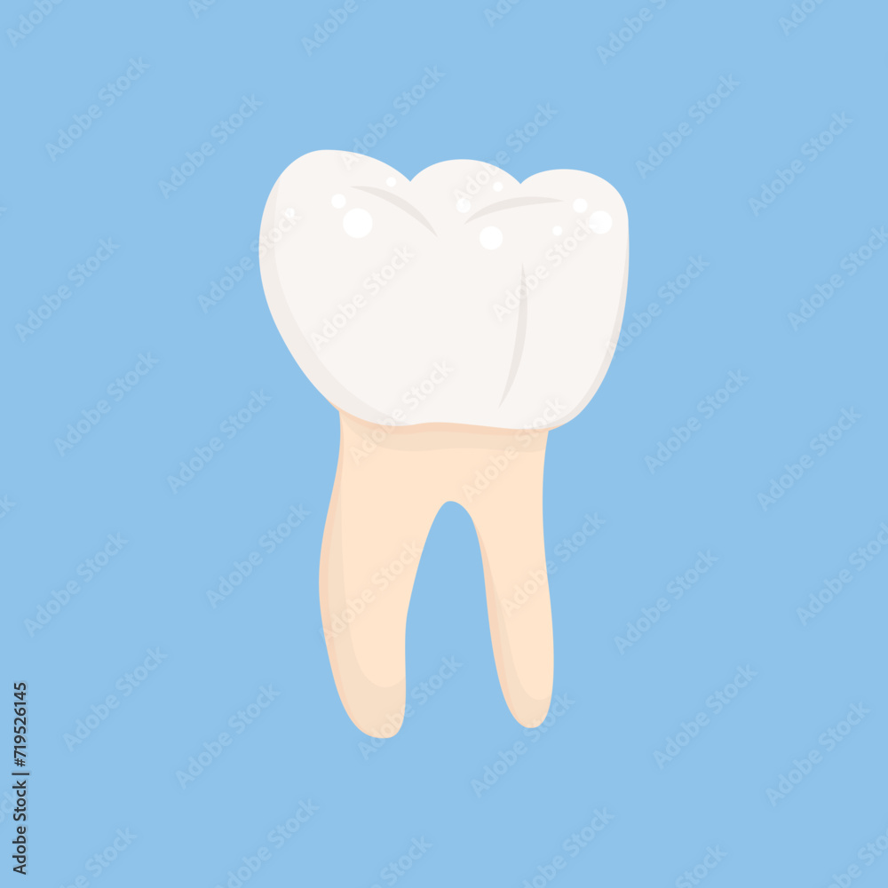 Tooth Vector, Teeth Vector, Dental School, Dental Illustration ...