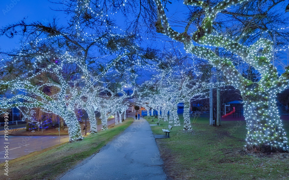 walking through an avenue of lights on trees in a park Stock Photo ...