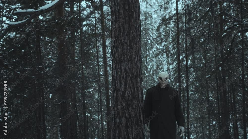 Alien standing behind the tree in pine forest on winter day, looking at ...