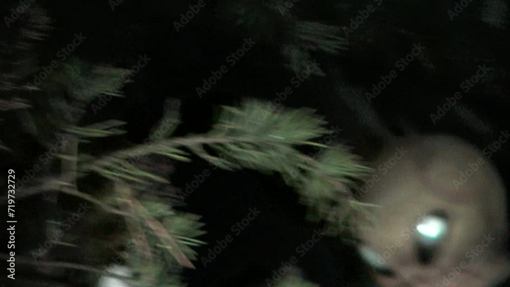 Alien with glowing eyes afraid of flashlight covering his face with ...