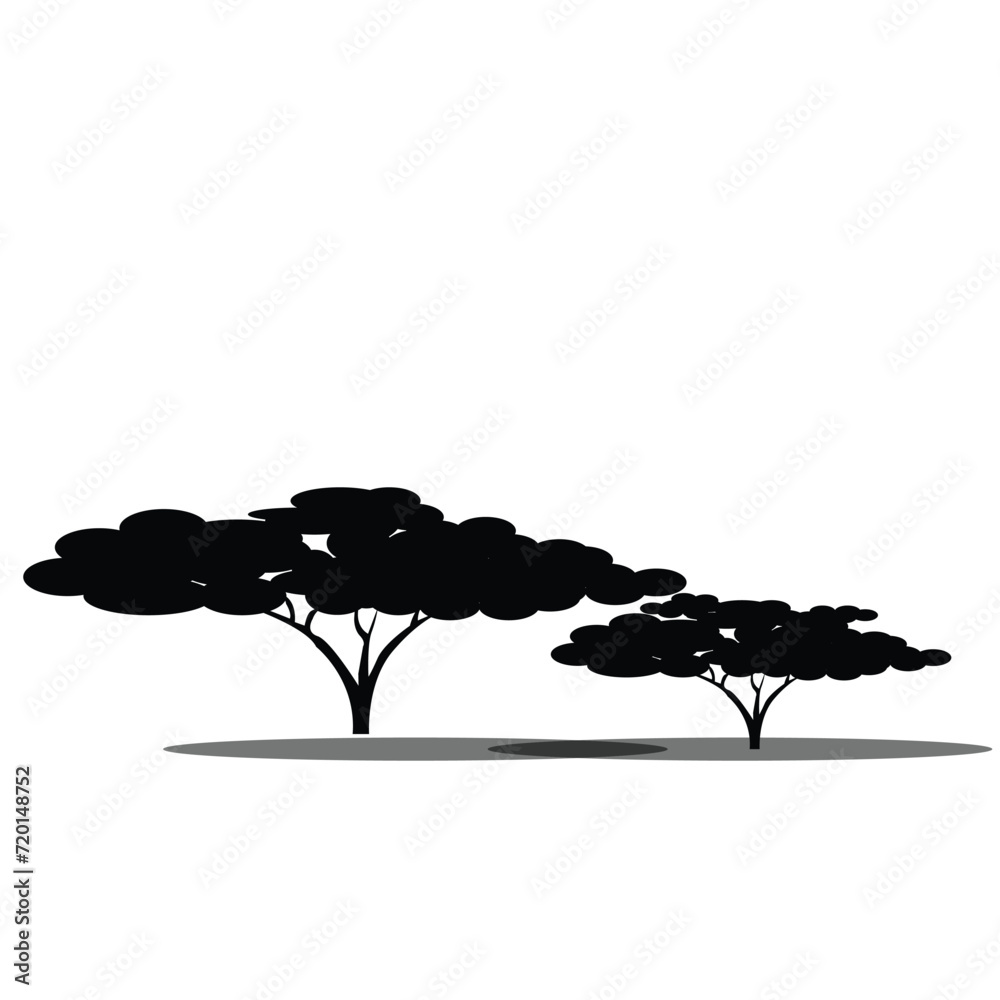 acacia tree logo image vector eps 10, logo template isolated on white ...