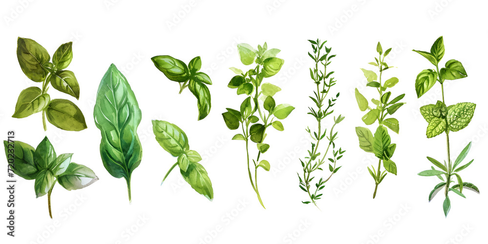 Different DNA sequence: how four nucleotides in DNA are arranged in ...