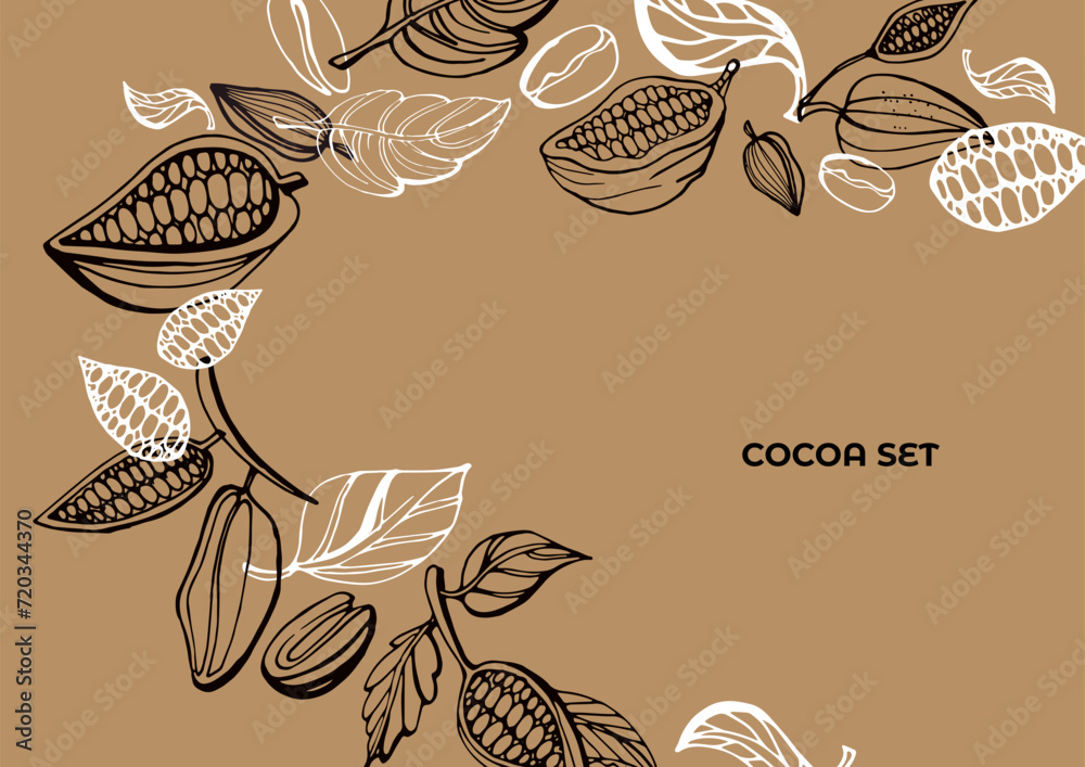 Vector set of hand drawing of cocoa, cocoa branches, leaves, coffee and ...