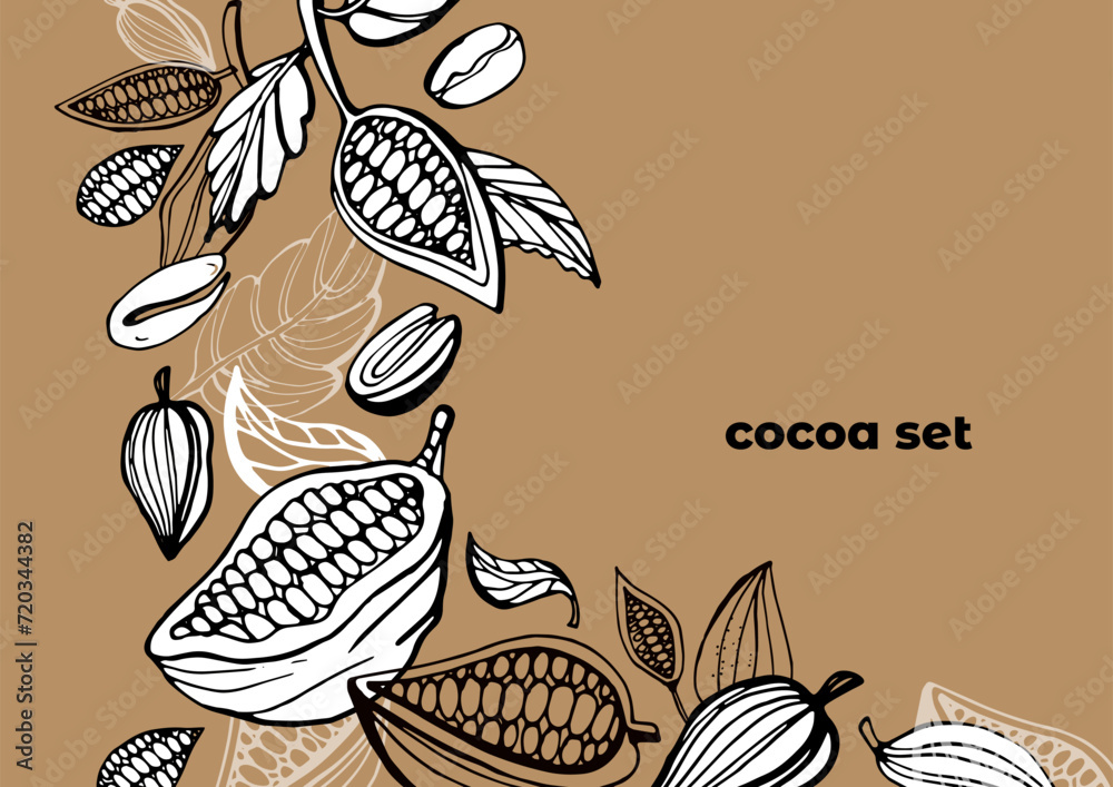 Vector set of hand drawing of cocoa, cocoa branches, leaves, coffee and ...